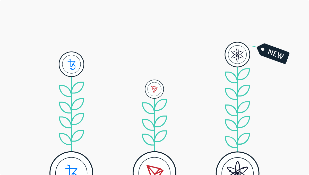 Into the Cosmos with Ledger | Ledger