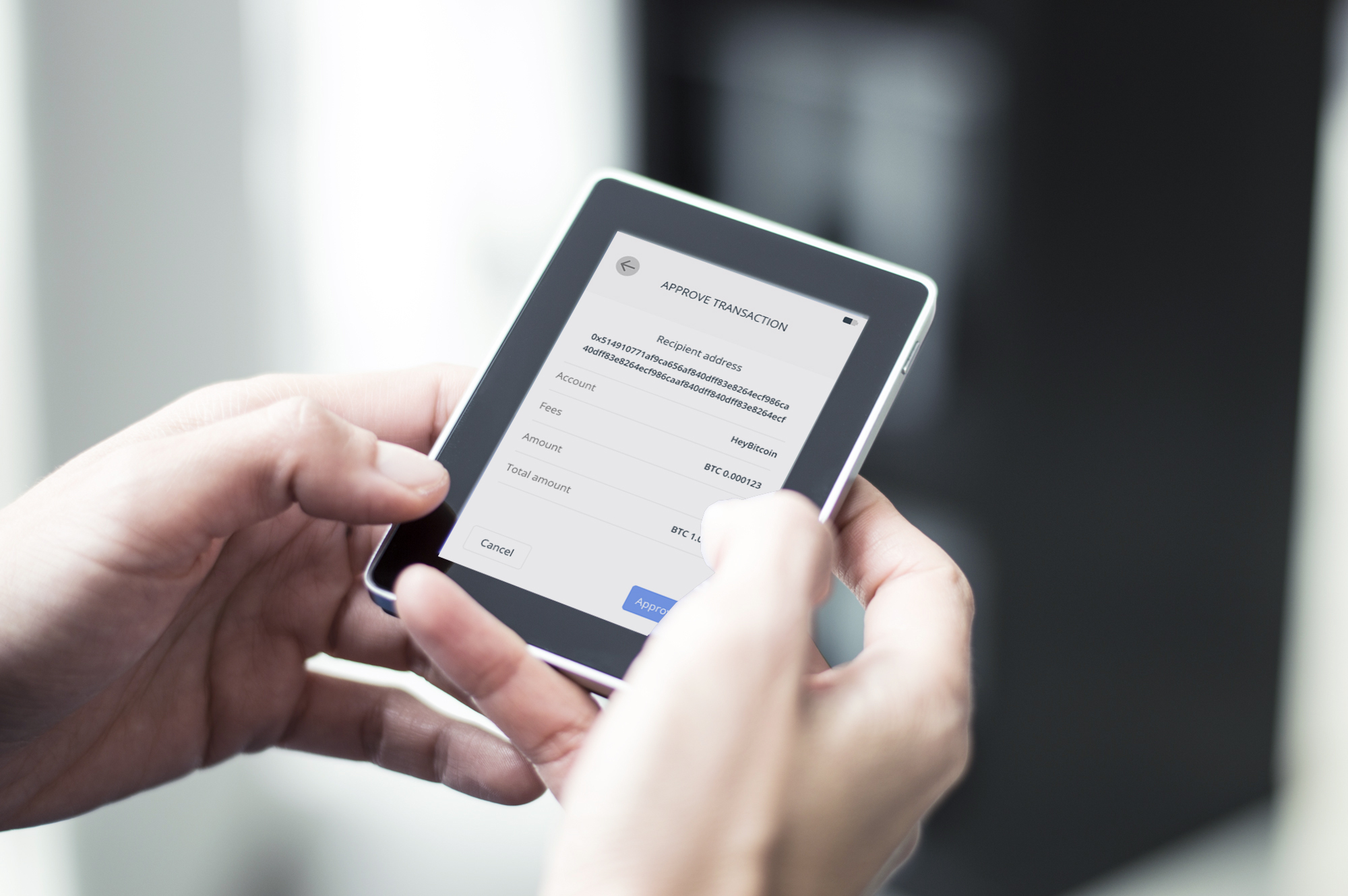 The Importance of the Trusted Display and Secure Execution | Ledger