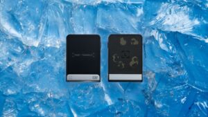 Ledger & Pudgy Penguins Collaboration | Limited-Edition Flex